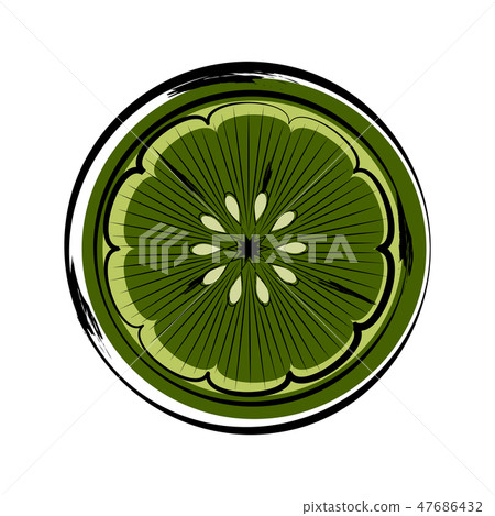 Sketch of a front view of a cut lime - Stock Illustration [47686432 ...