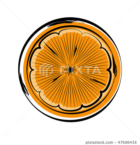 Sketch of a front view of a cut orange - Stock Illustration [47686438 ...