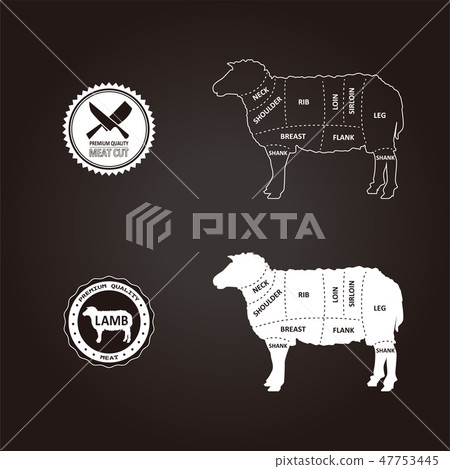 Lamb meat vector data - Stock Illustration [47753445] - PIXTA