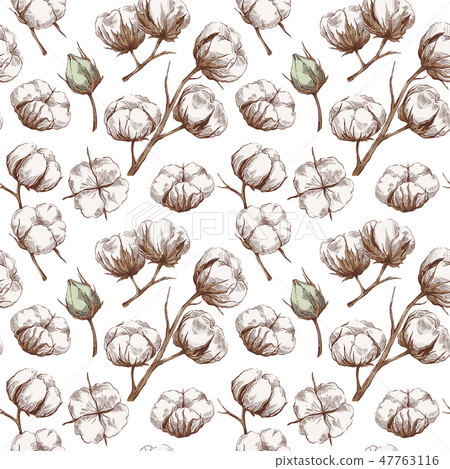 Seamless cotton pattern - Stock Illustration [47763116] - PIXTA