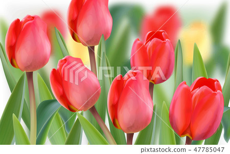 Spring tulip flowers field Vector realistic banner - Stock Illustration ...