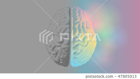 Brain half with color and monochrome on grey BG - Stock Illustration ...