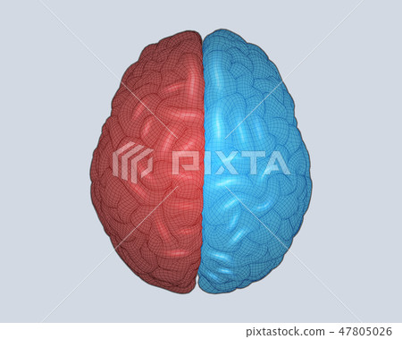 Red and blue wireframe brain illustration - Stock Illustration ...