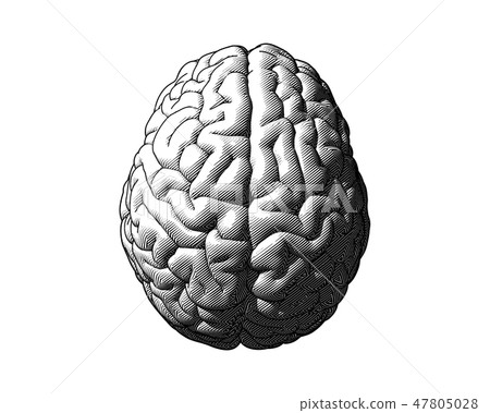 Black brain illustration isolated on white BG - Stock Illustration ...