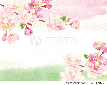 Sakura water color background illustration - Stock Illustration ...