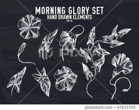 Vector collection of hand drawn chalk morning... - Stock Illustration ...