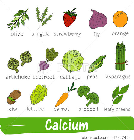 Vegetables with a high content of Calcium. - Stock Illustration ...