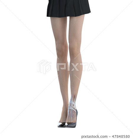 Clean female leg dissection muscle 3DCG... - Stock Illustration ...