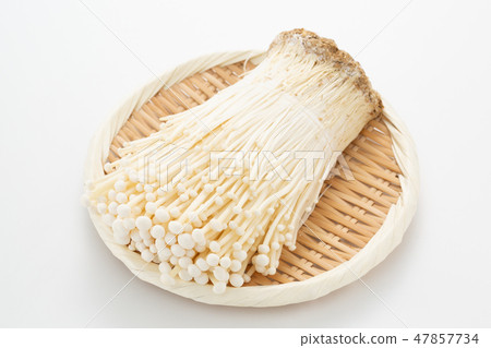 Enoki - Stock Photo [47857734] - PIXTA