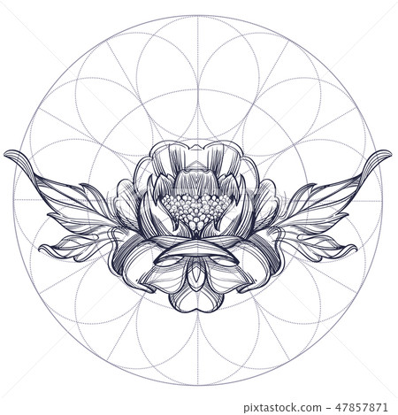 Elegant element of a stylized flower with... - Stock Illustration ...