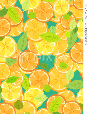 Felt citrus collage - Stock Illustration [47937620] - PIXTA