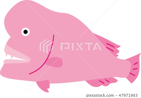 Kobudai - Stock Illustration [47971983] - PIXTA