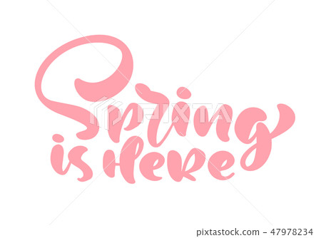 Pink Calligraphy lettering phrase Spring is... - Stock Illustration ...