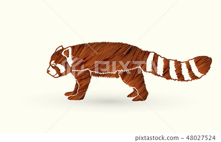 Red Panda side view graphic vector. - Stock Illustration [48027524] - PIXTA