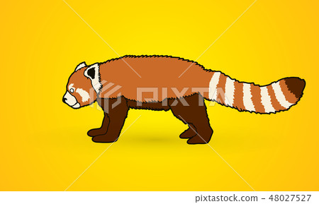 Red Panda side view graphic vector. - Stock Illustration [48027527] - PIXTA