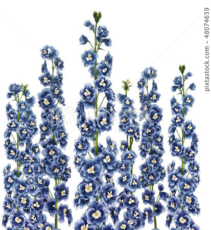 Blue flower crowd - Stock Illustration [48074659] - PIXTA