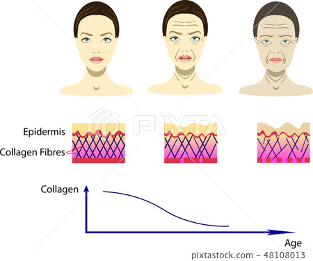 Vector illustration with aging process - Stock Illustration [48108013 ...