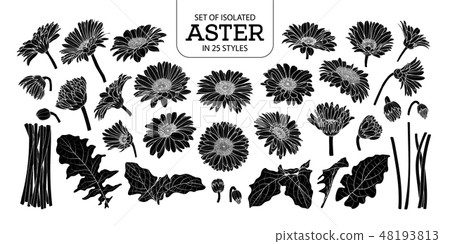 Set of isolated silhouette Aster in 25 styles. - Stock Illustration ...