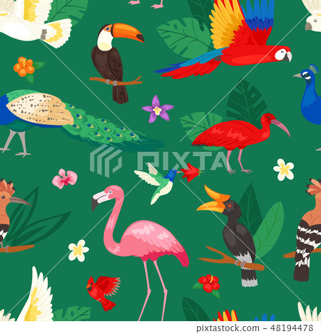 Tropical birds vector exotic parrot or flamingo... - Stock Illustration ...