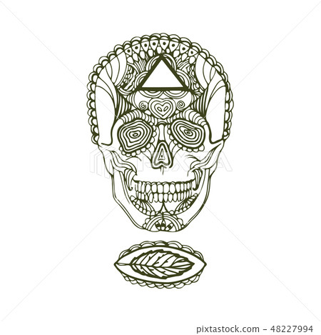Vector Hand drawn sketch of scull illustration... - Stock Illustration ...