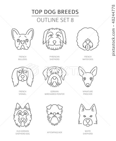 Top dog breeds. Pet outline collection. Vector-插圖素材 [48244778] - PIXTA圖庫