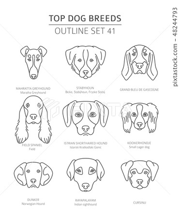 Top dog breeds. Pet outline collection. Vector-插圖素材 [48244793] - PIXTA圖庫
