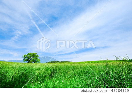 Refreshing highland landscape - Stock Photo [48284539] - PIXTA
