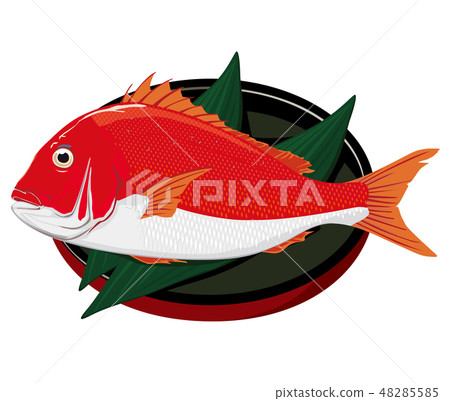 Snapper snapper red sea clipart illustration - Stock Illustration ...
