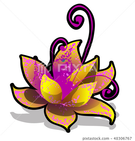 Fancy flower isolated on white background.... - Stock Illustration ...