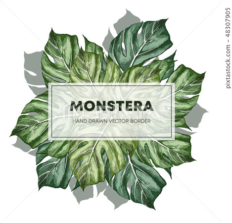 Monstera design hand drawn poster template - Stock Illustration ...