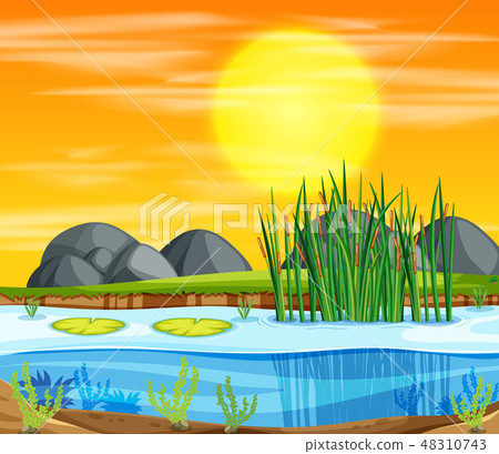 Sunset pond background scene-插圖素材 [48310743] - PIXTA圖庫