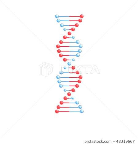 Vector DNA molecule helix spiral genetic code - Stock Illustration ...