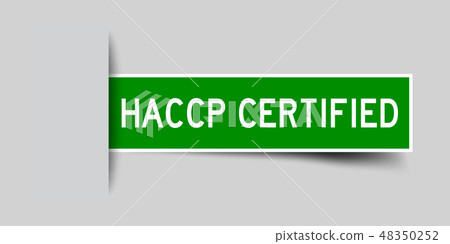 Label square green sticker in word HACCP - Stock Illustration [48350252 ...