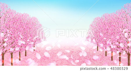 Sakura spring flower background - Stock Illustration [48380329] - PIXTA