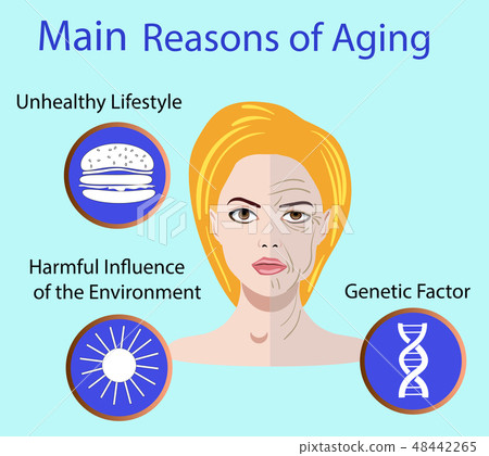 Vector illustration with reasons of aging - Stock Illustration ...