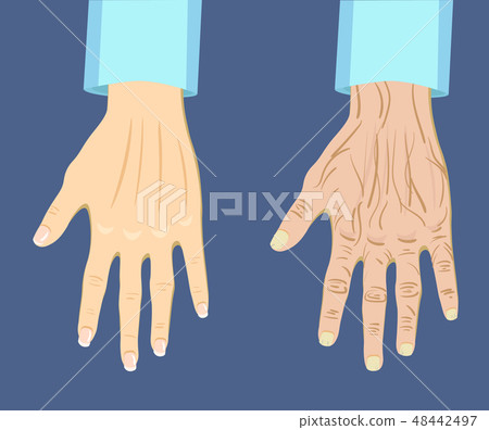 types of hand old and young, vector illustration - Stock Illustration ...