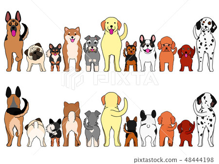 Dog front and back border Small dog and large... - Stock Illustration ...