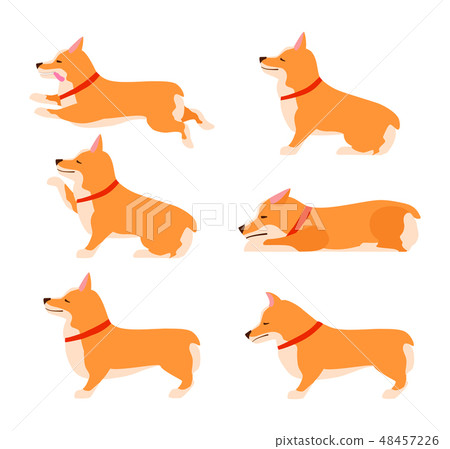 Set of poses and emotions dog. - Stock Illustration [48457226] - PIXTA