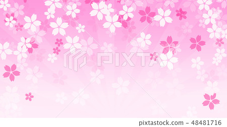 Background material Sakura - Stock Illustration [48481716] - PIXTA