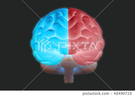 3D brain illustration with left and right concept - Stock Illustration ...