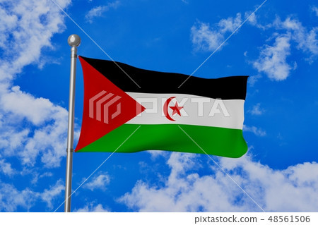 Flapping the national flag of Western Sahara - Stock Illustration ...