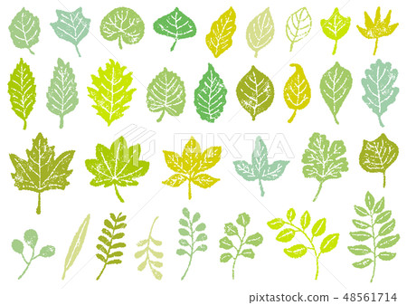 Leaf stamp 2 New green color - Stock Illustration [48561714] - PIXTA