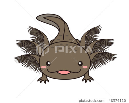 Wooper looper Axolotl marble - Stock Illustration [48574110] - PIXTA
