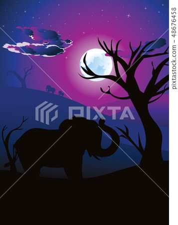 African Night with Elephant - Stock Illustration [48676458] - PIXTA