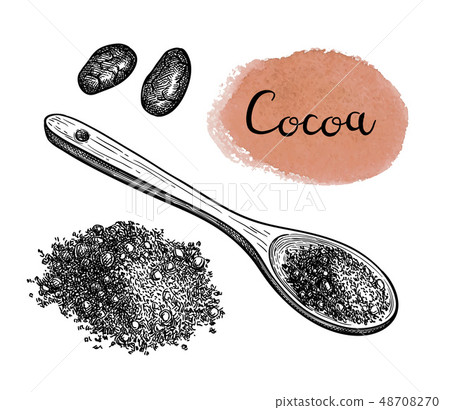 Ink sketch of cocoa powder. - Stock Illustration [48708270] - PIXTA