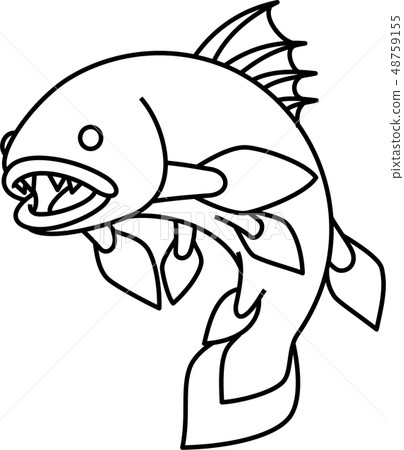 vector, vectors, coelacanth - Stock Illustration [48759155] - PIXTA