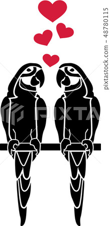 Parrots in love - Stock Illustration [48780115] - PIXTA