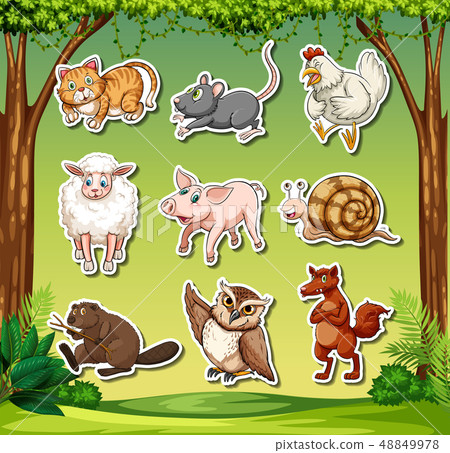 Set of animal sticker character - Stock Illustration [48849978] - PIXTA
