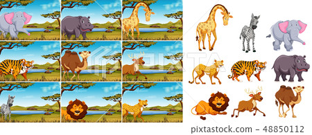 Set of wild animal in nature - Stock Illustration [48850112] - PIXTA