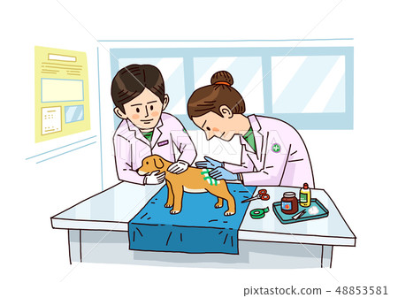 Vector - Examination and healthcare for pets... - Stock Illustration ...